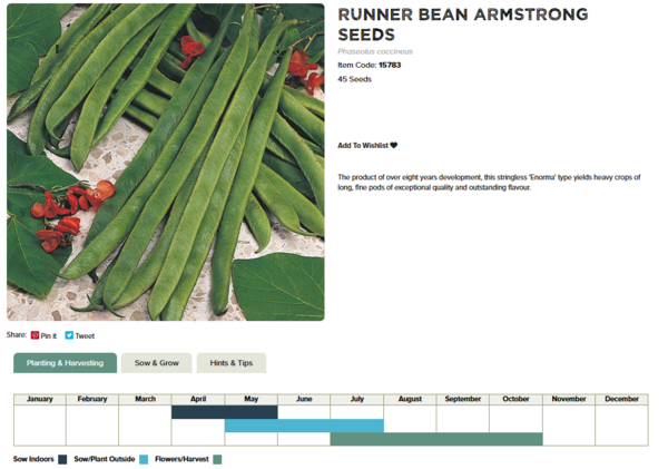 Runner Bean (Armstrong) – Aghalee Building Supplies