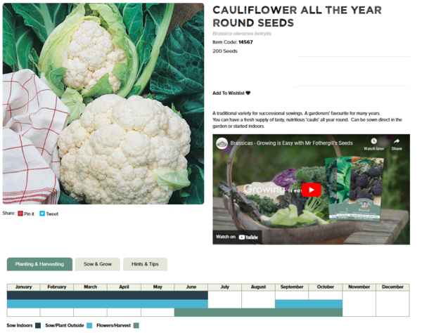 Cauliflower (All the Year Round) – Aghalee Building Supplies