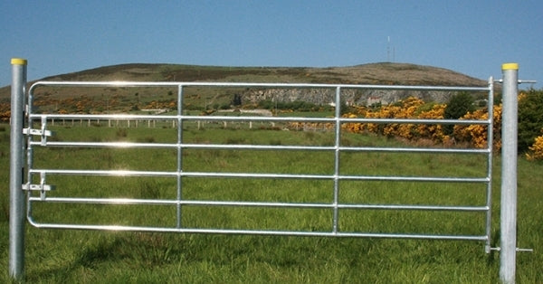 19Ft D6 Bull Gate – Aghalee Building Supplies